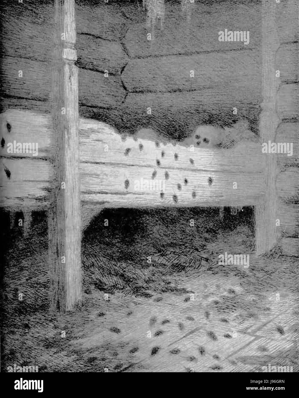 Theodor Kittelsen, a Norwegian artist, is known for his evocative ...