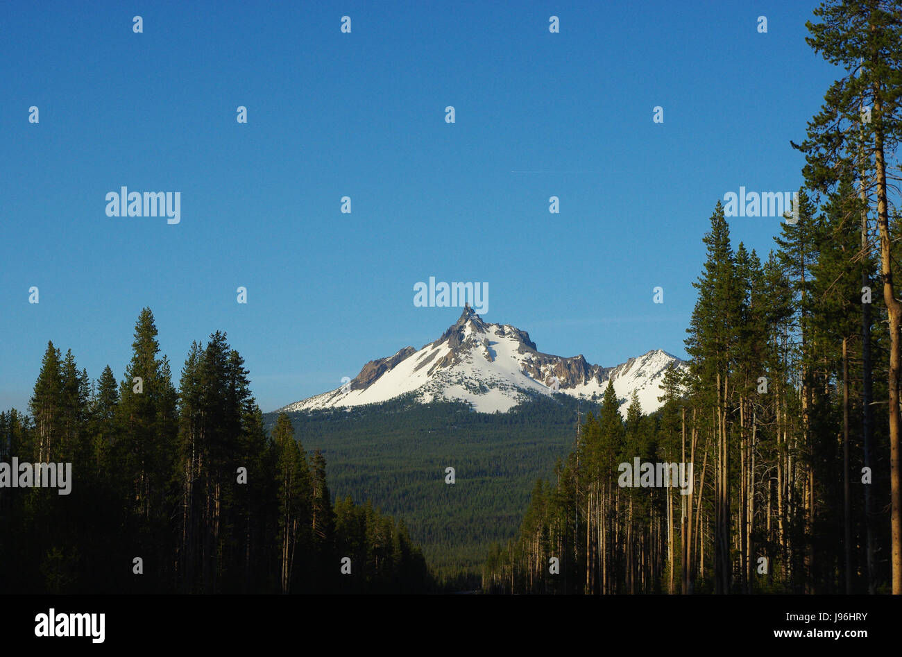 tree, mountain, vulcan, volcano, forest, trunk, blue, big, large ...