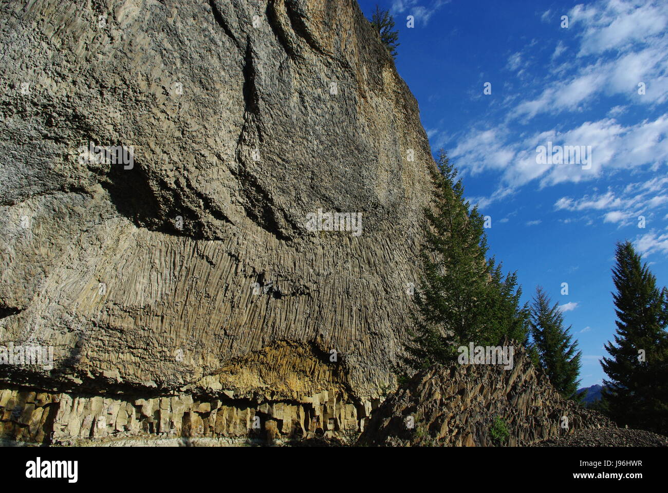 tree, rock, conifer, grey, gray, forest, wall, blue, tree, mountains ...