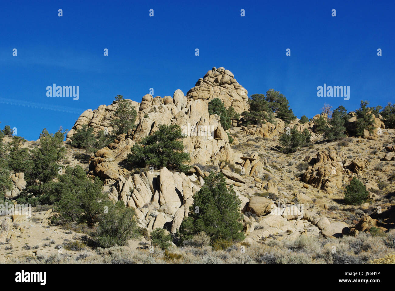 tree, desert, wasteland, formation, rock, shrub, firmament, sky, blue ...