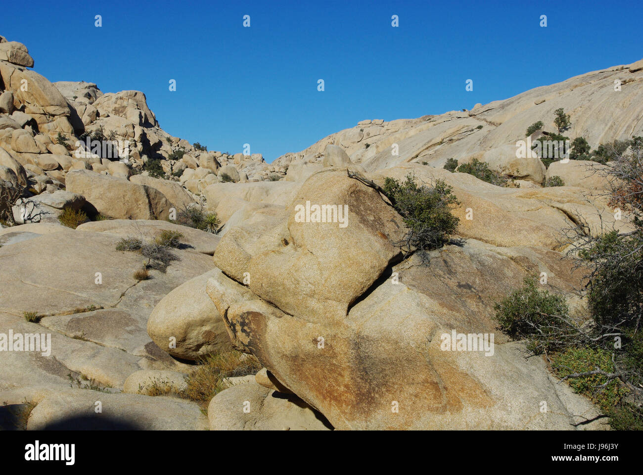 formation, rock, shrub, firmament, sky, blue, desert, wasteland ...