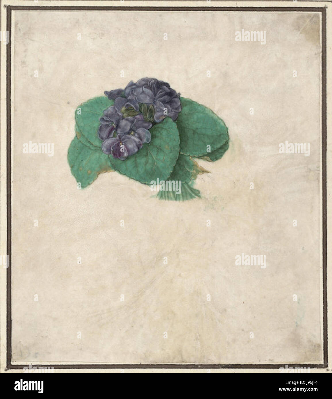 Violette bouquet refers to an artwork by Albrecht DÃ¼rer, possibly ...