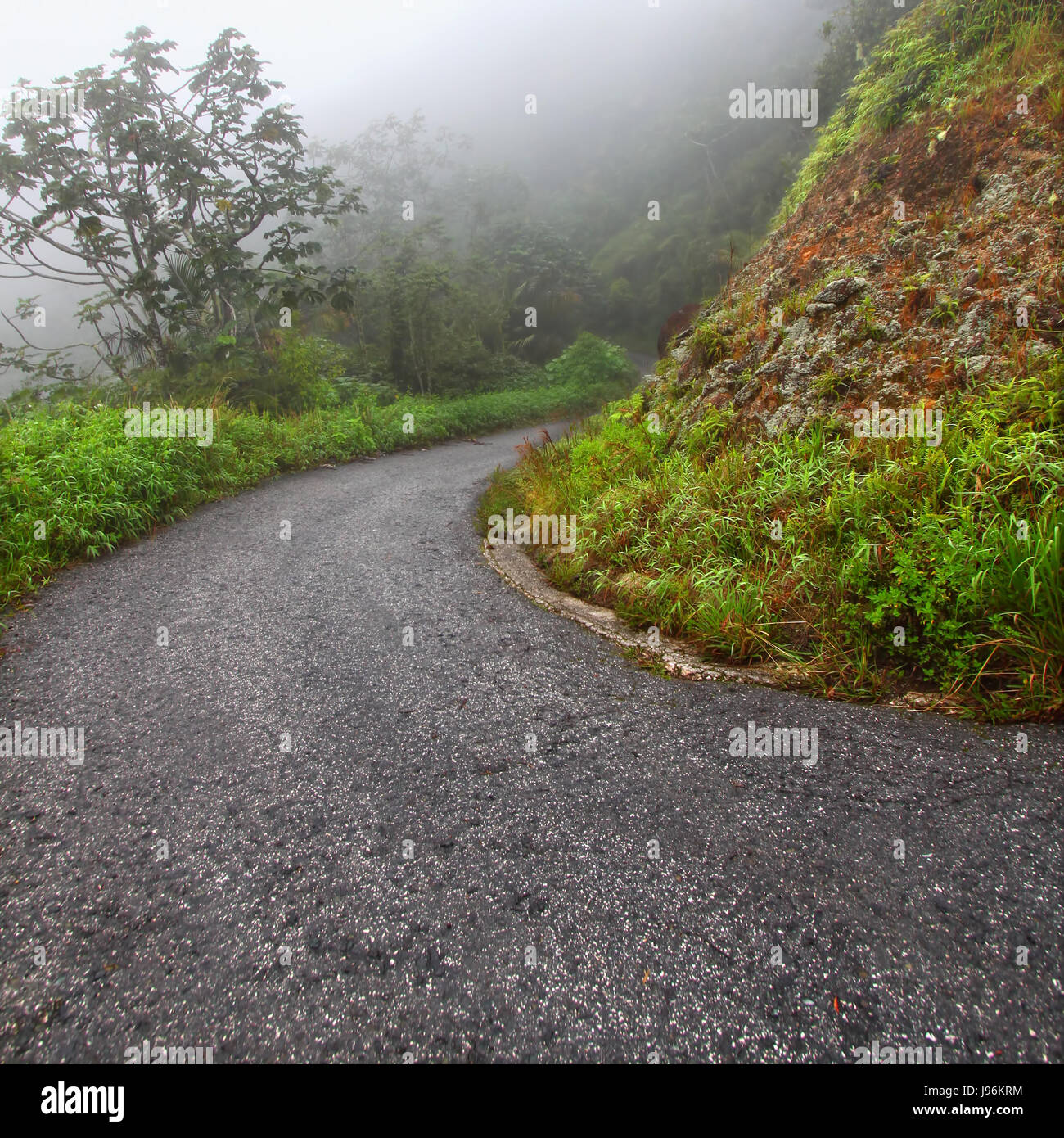 single, pavement, steep, track, footmark, footprint, curve, road ...
