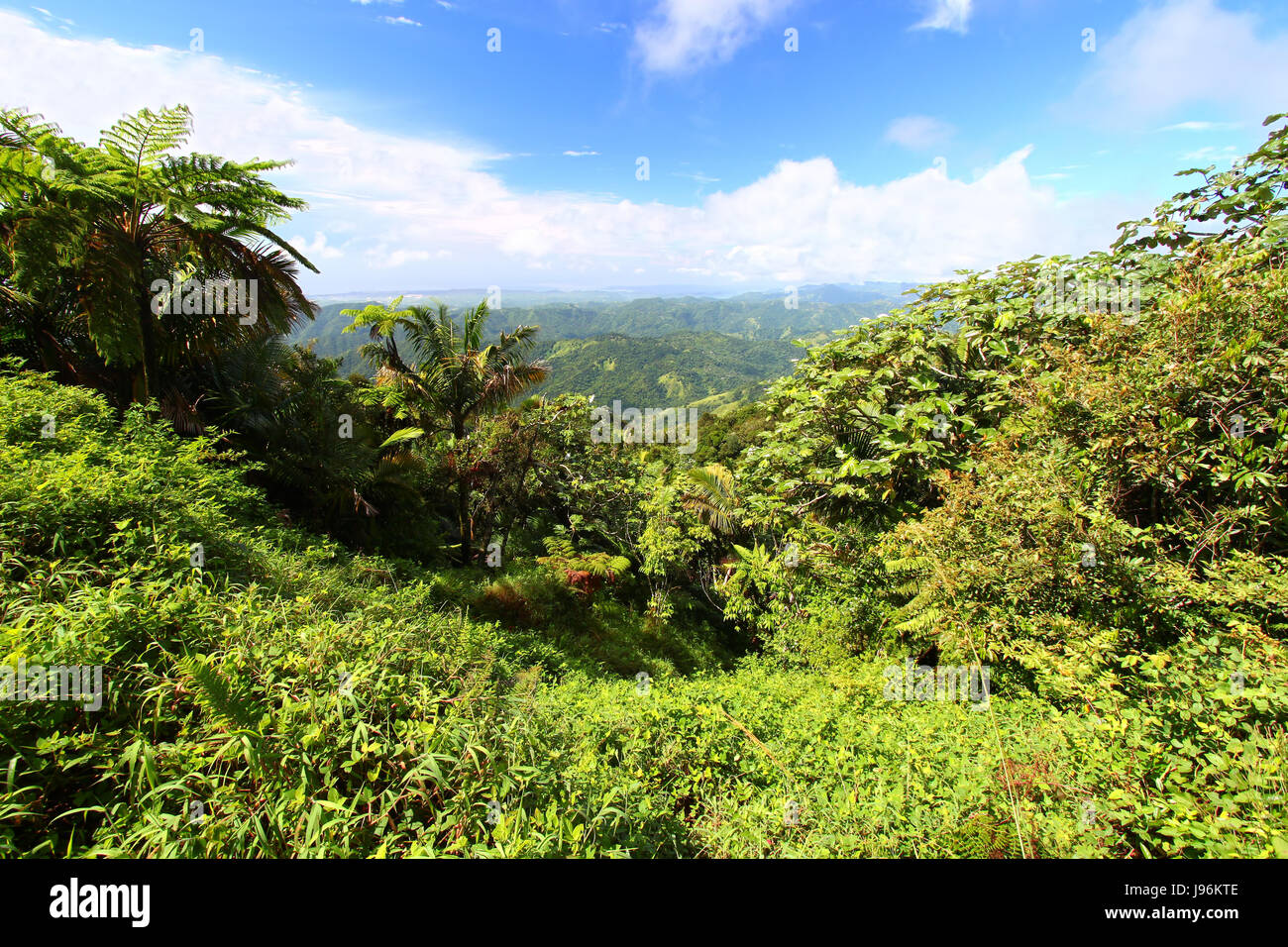sight, view, outlook, perspective, vista, panorama, lookout, scene ...