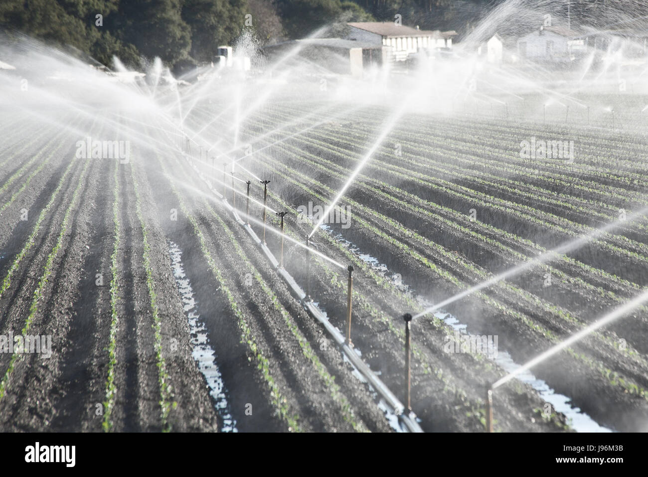 watering, irrigation, agriculture, farming, field, farm, spray ...