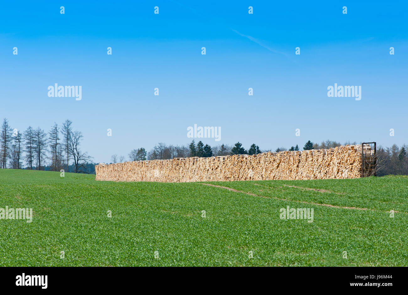 timber, stacked, field work, firewood, beechwood, strength, force, book ...