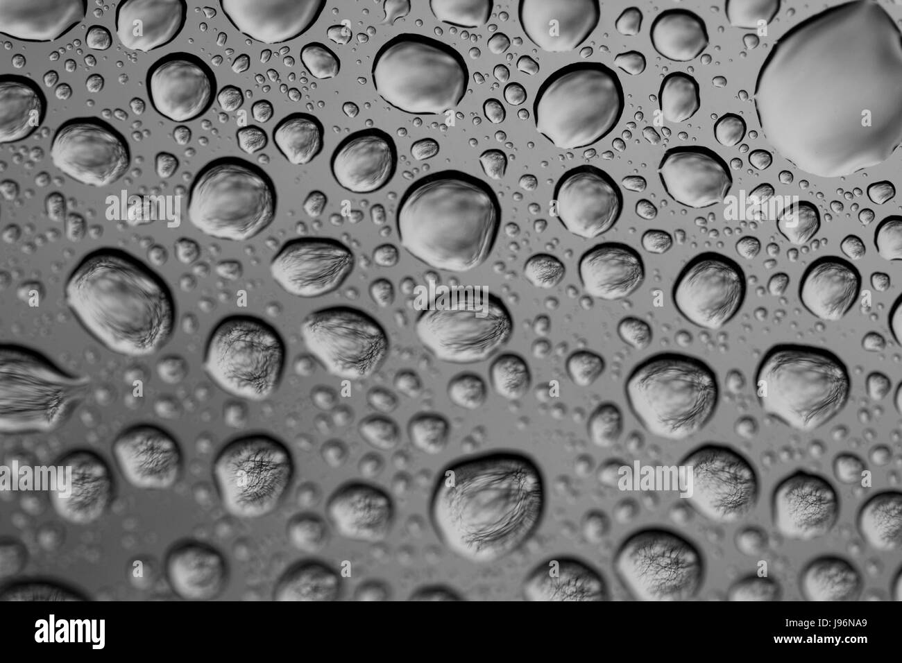 raindrop, mirroring, water, drop, drip, drops, seeping, sopping, drips ...