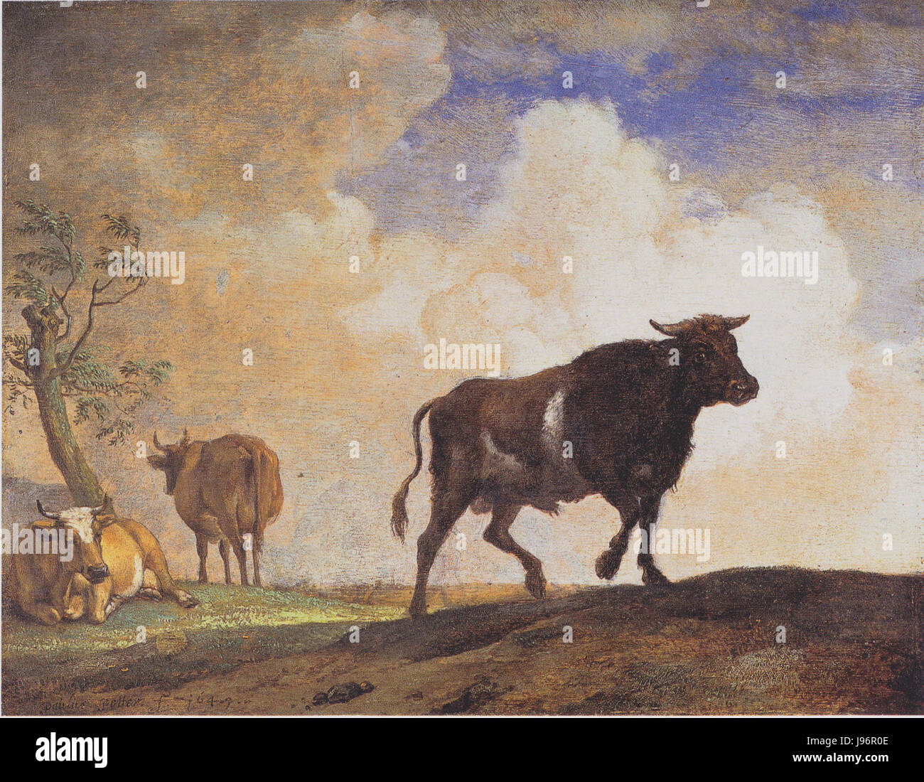 Der stier hi-res stock photography and images - Alamy