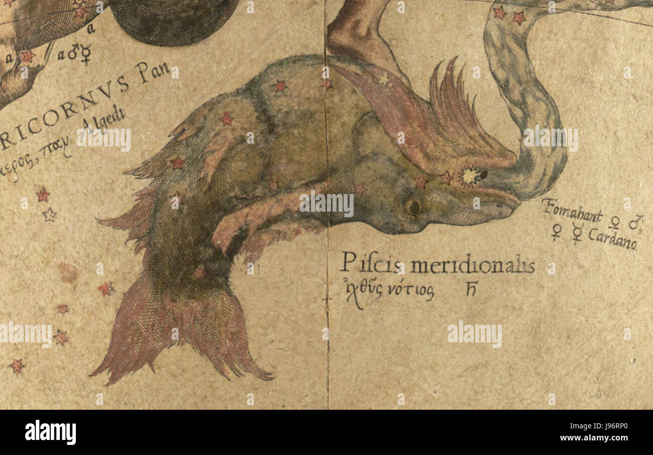 Austrinus hi-res stock photography and images - Alamy