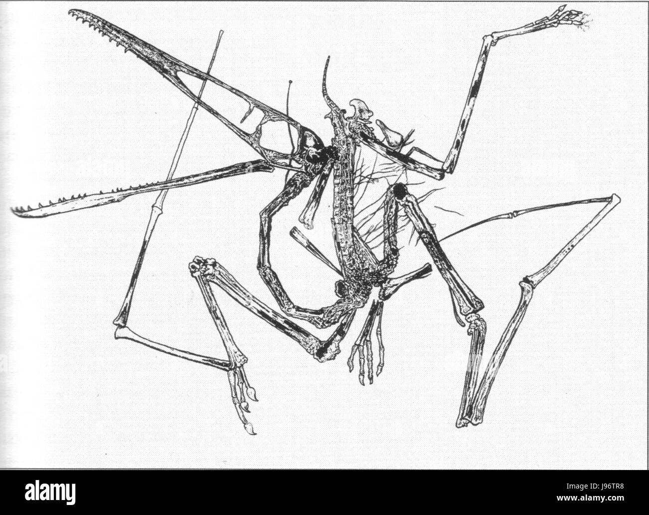 Discovery flying Black and White Stock Photos & Images - Alamy