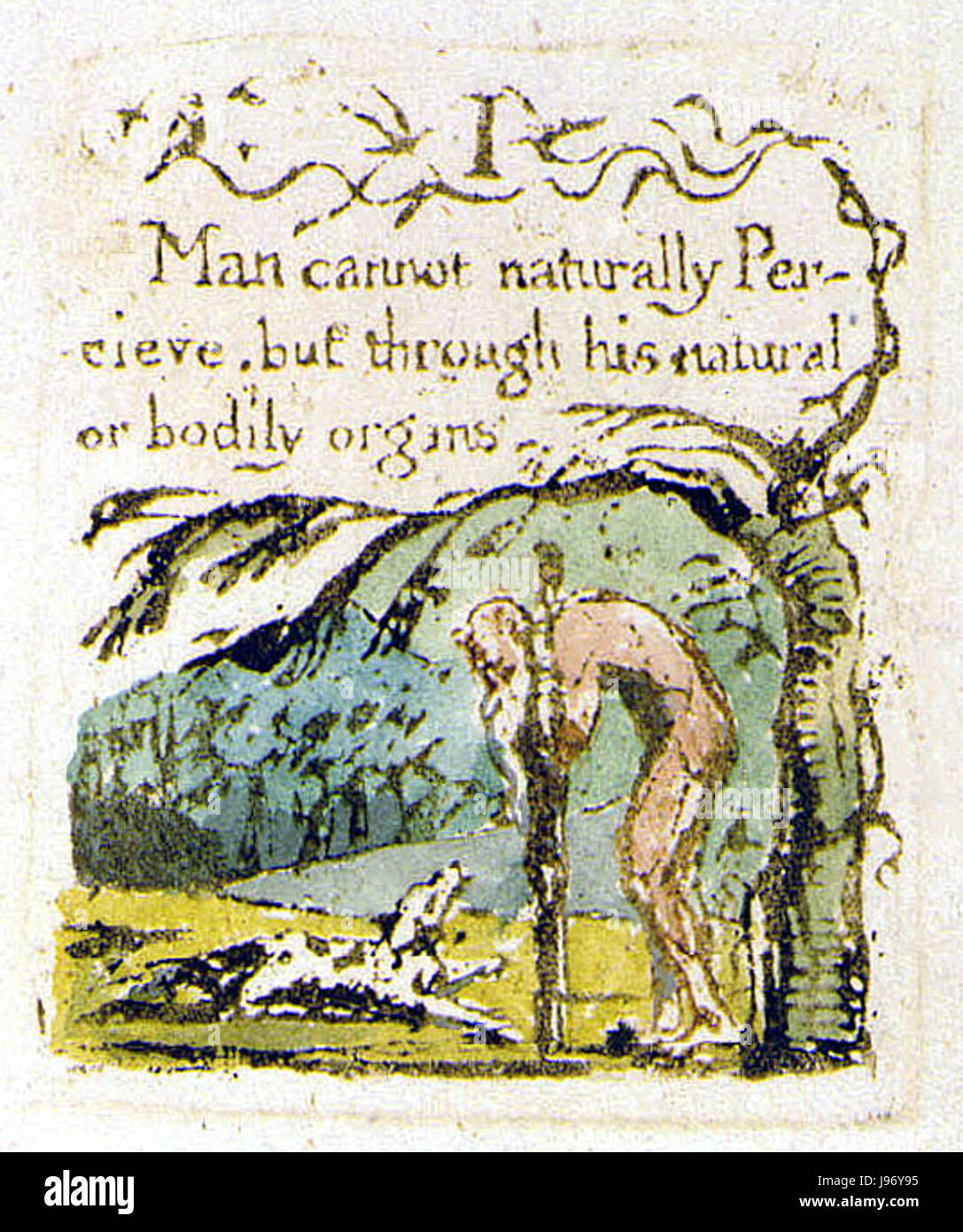 The TNNR Series a Plate 4 (I) refers to a specific piece in a ...