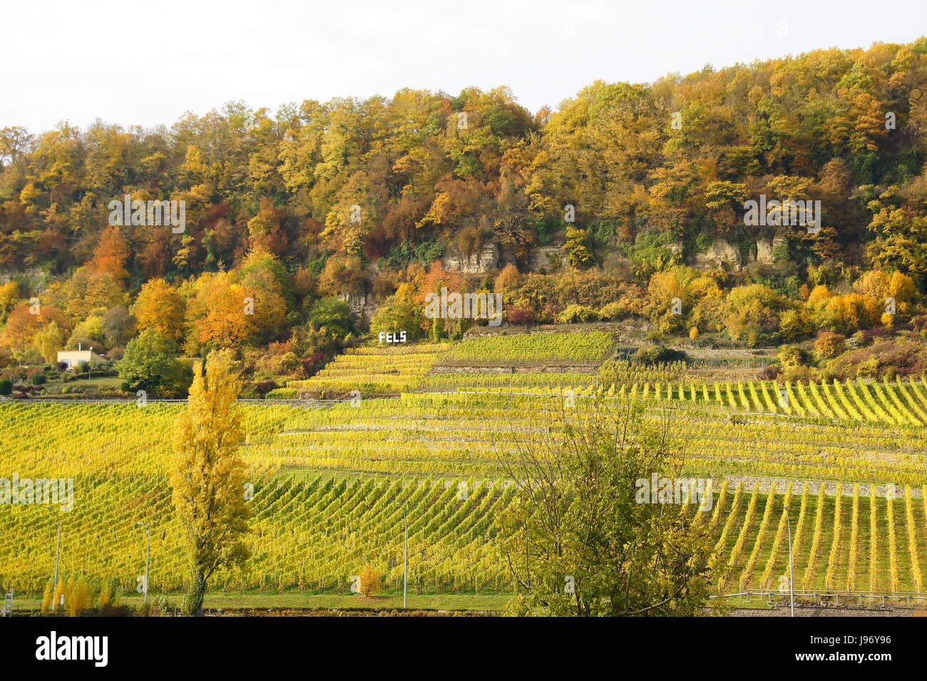 vineyard rock in luxembourg Stock Photo - Alamy