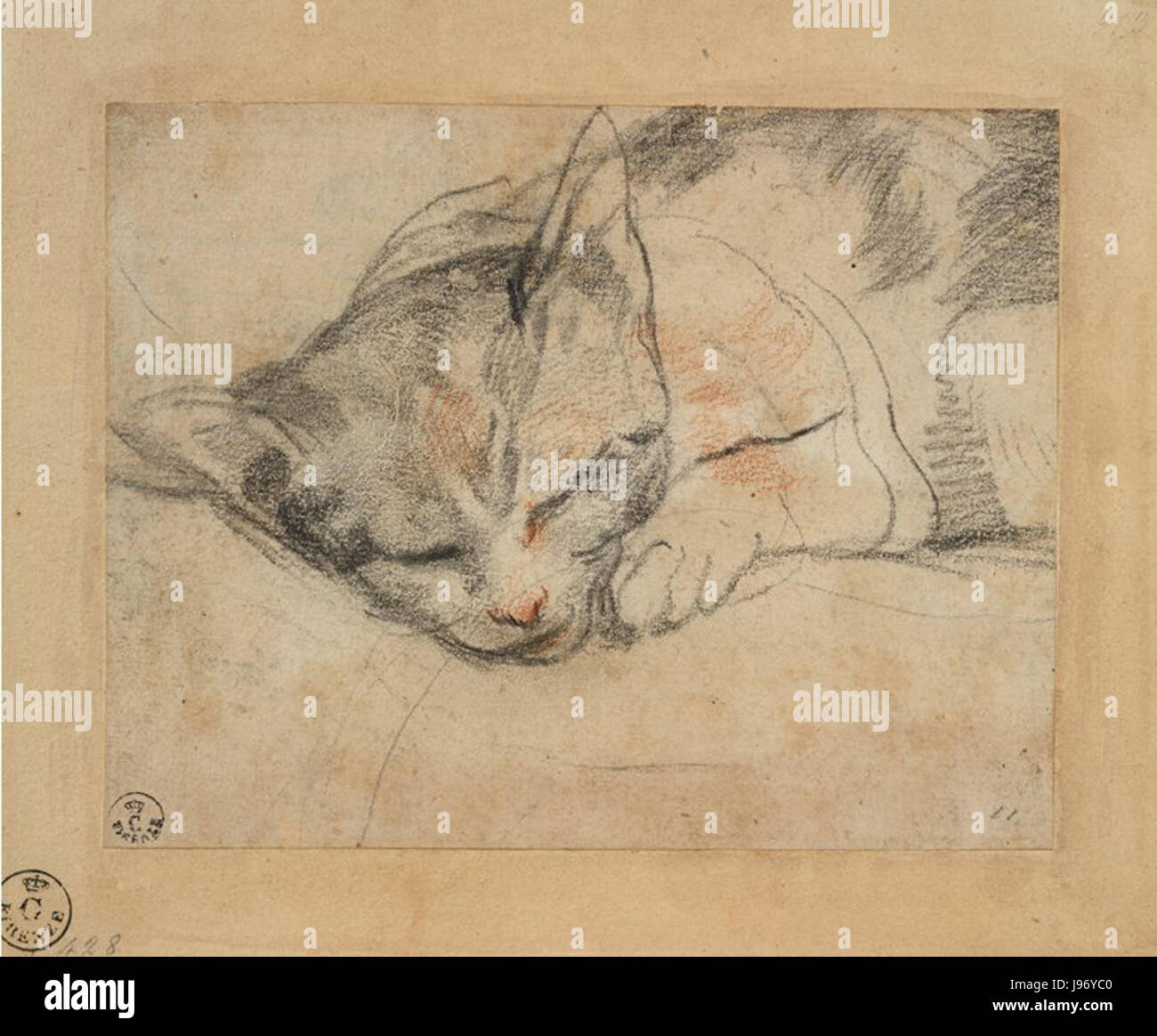 Cat study hi-res stock photography and images - Alamy