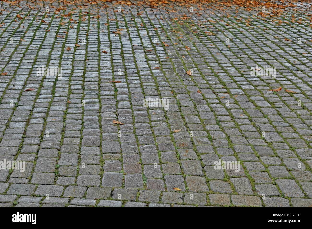 city, town, plaster, moist, cobblestone, street, road, rain, raining ...