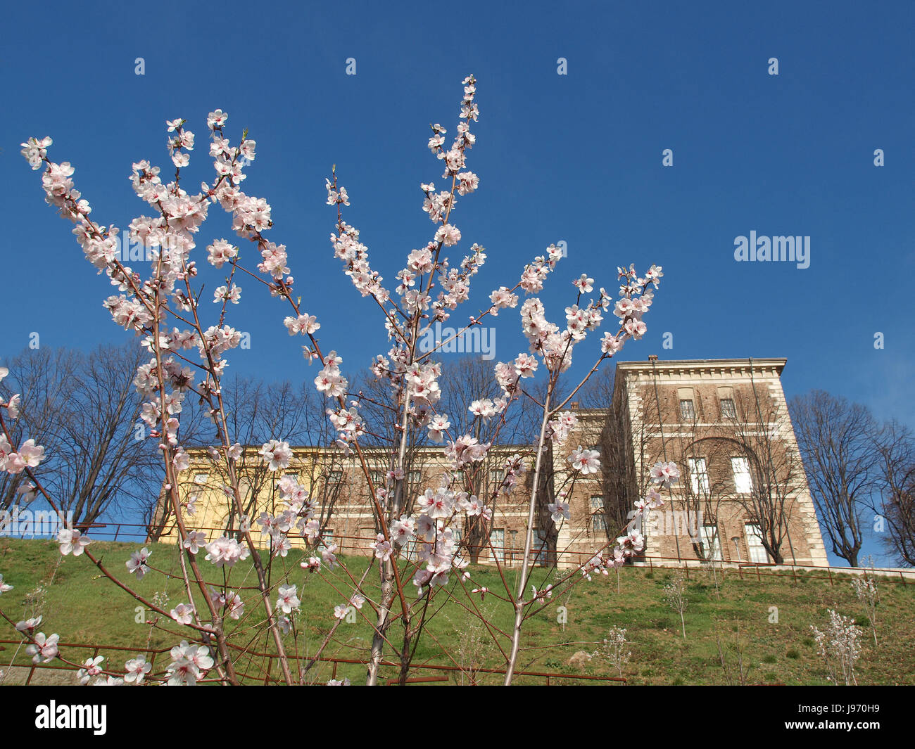 italia, castle, italy, chateau, art, hill, baroque, museum, style of ...
