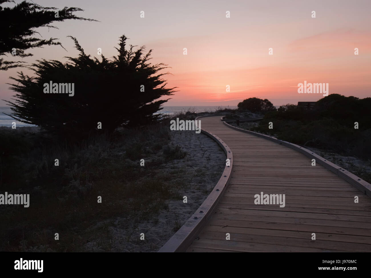 Boardwalk pathway at asilomar conference center hi-res stock ...