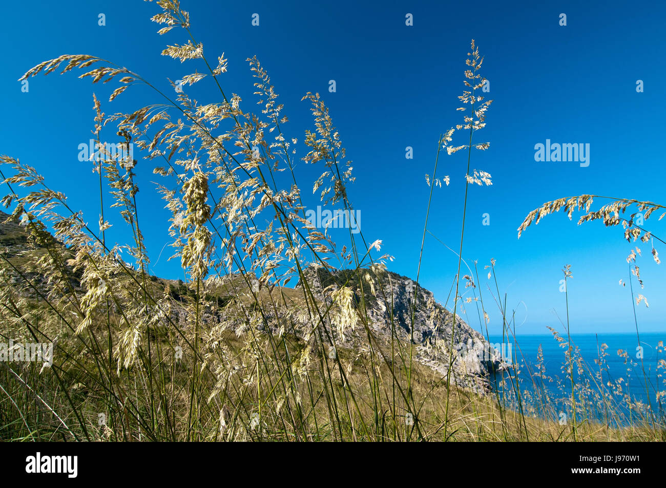 blue, lagoon, cliff, landscape, scenery, countryside, nature, salt ...