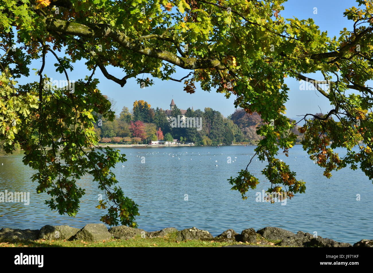 tourism, switzerland, scenery, countryside, nature, fall, autumn, tree ...