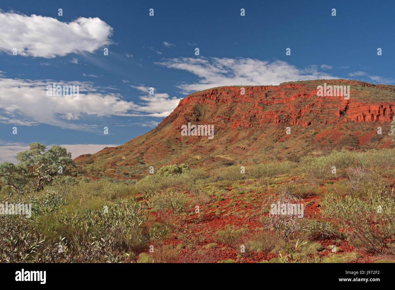 ground, soil, earth, humus, savannah, rock, australia, sight, view ...