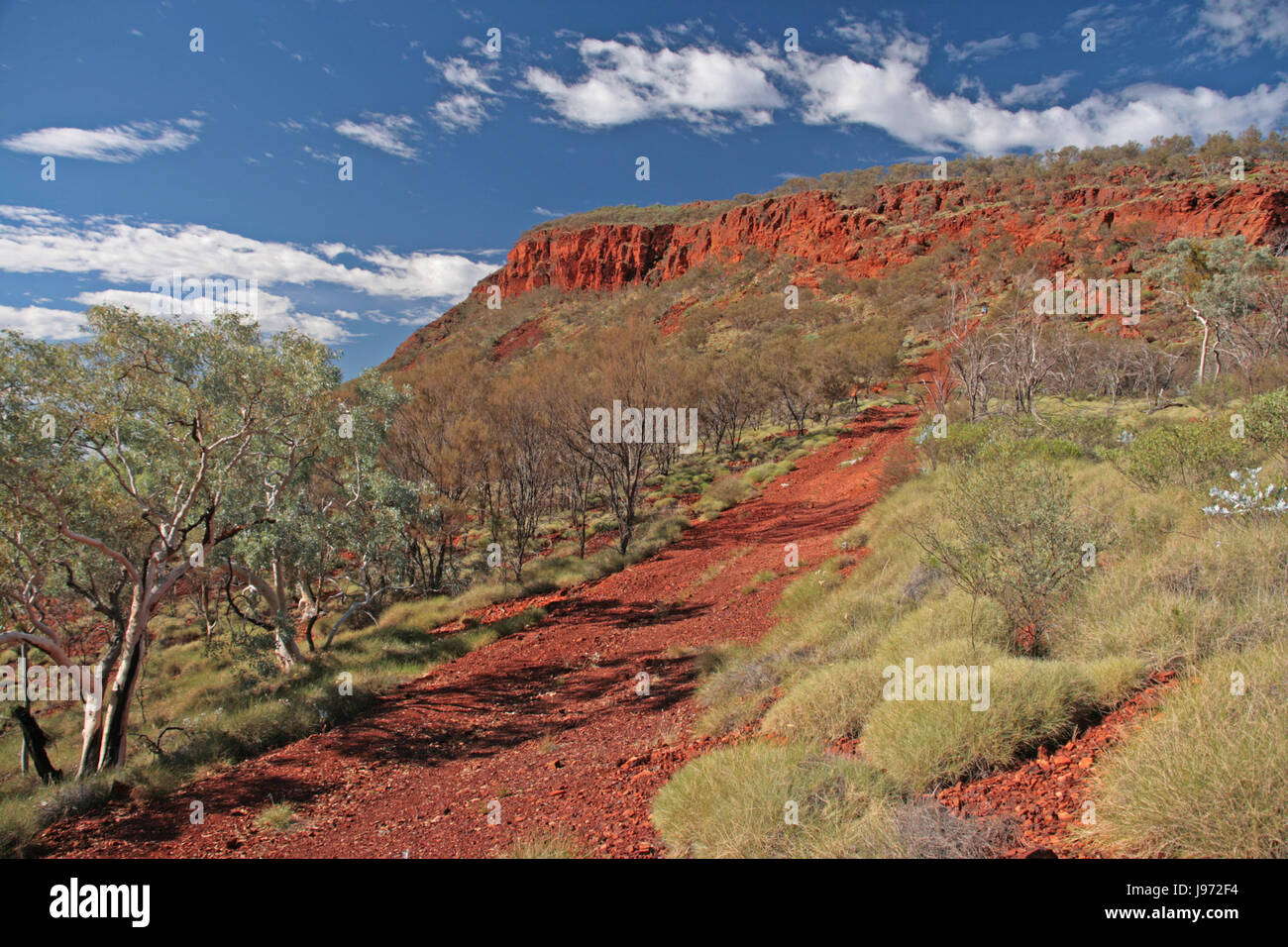 ground, soil, earth, humus, savannah, rock, australia, sight, view ...