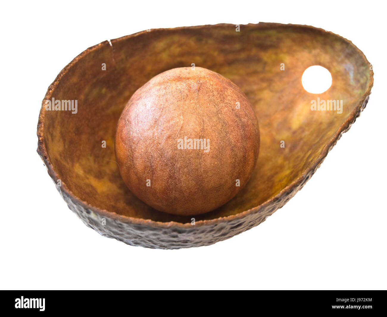 Bone core hi-res stock photography and images - Alamy