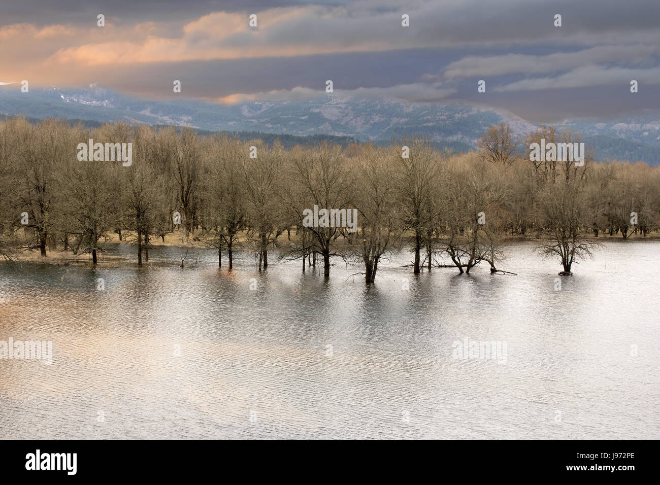 swamp, plain, flood, high, landscape, scenery, countryside, nature ...
