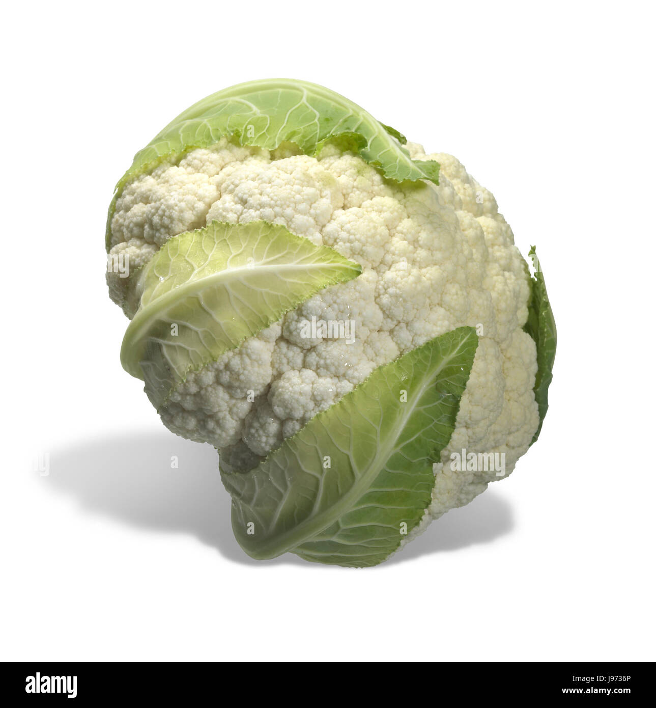 Organische struktur hi-res stock photography and images - Alamy