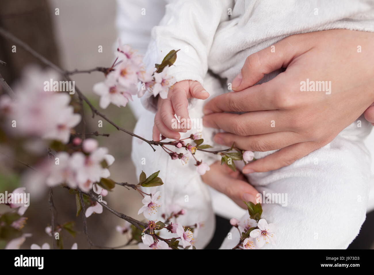 Baby touching flowers. children's hands closeup Mother hold child near ...