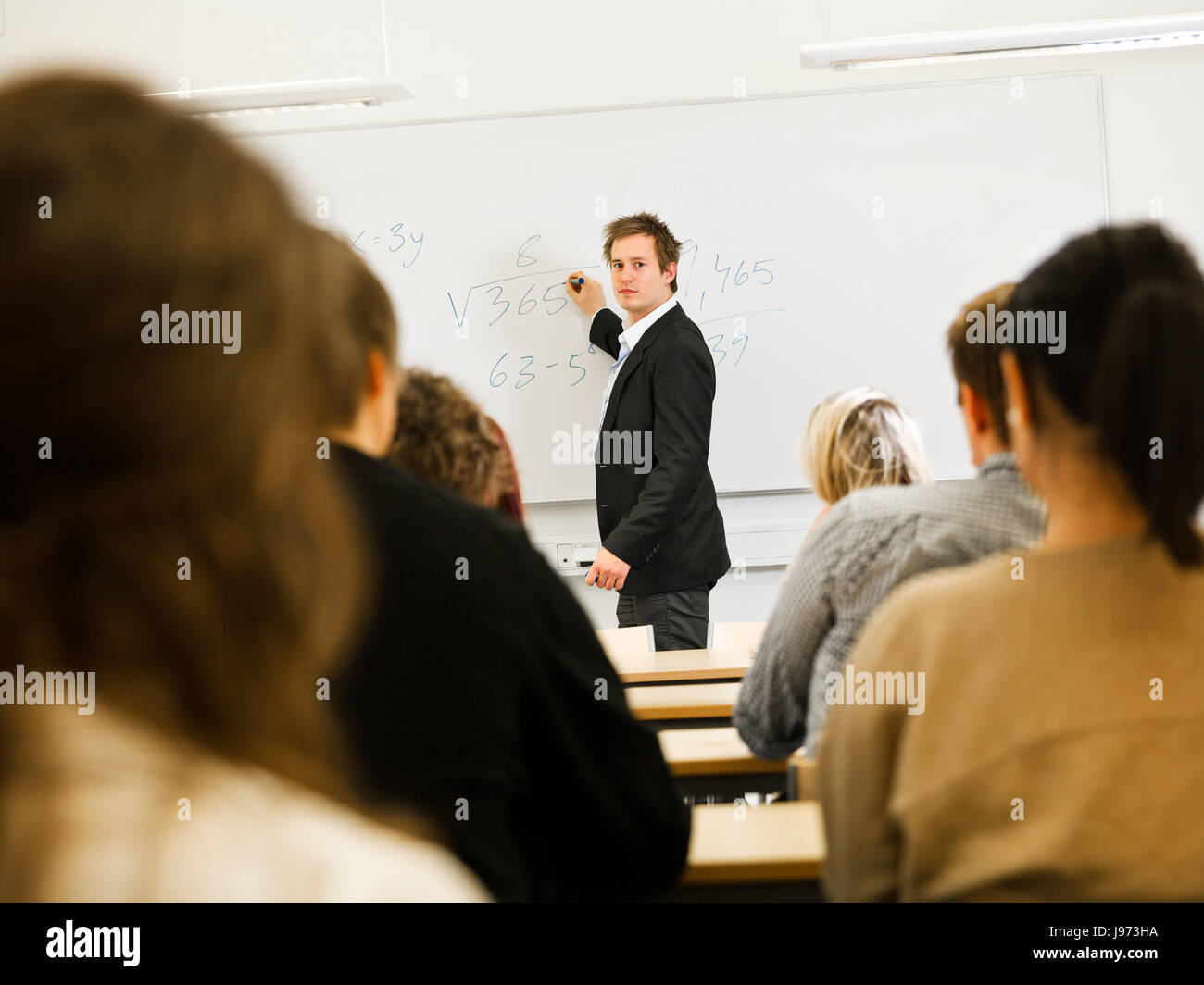 study, humans, human beings, people, folk, persons, human, human being ...