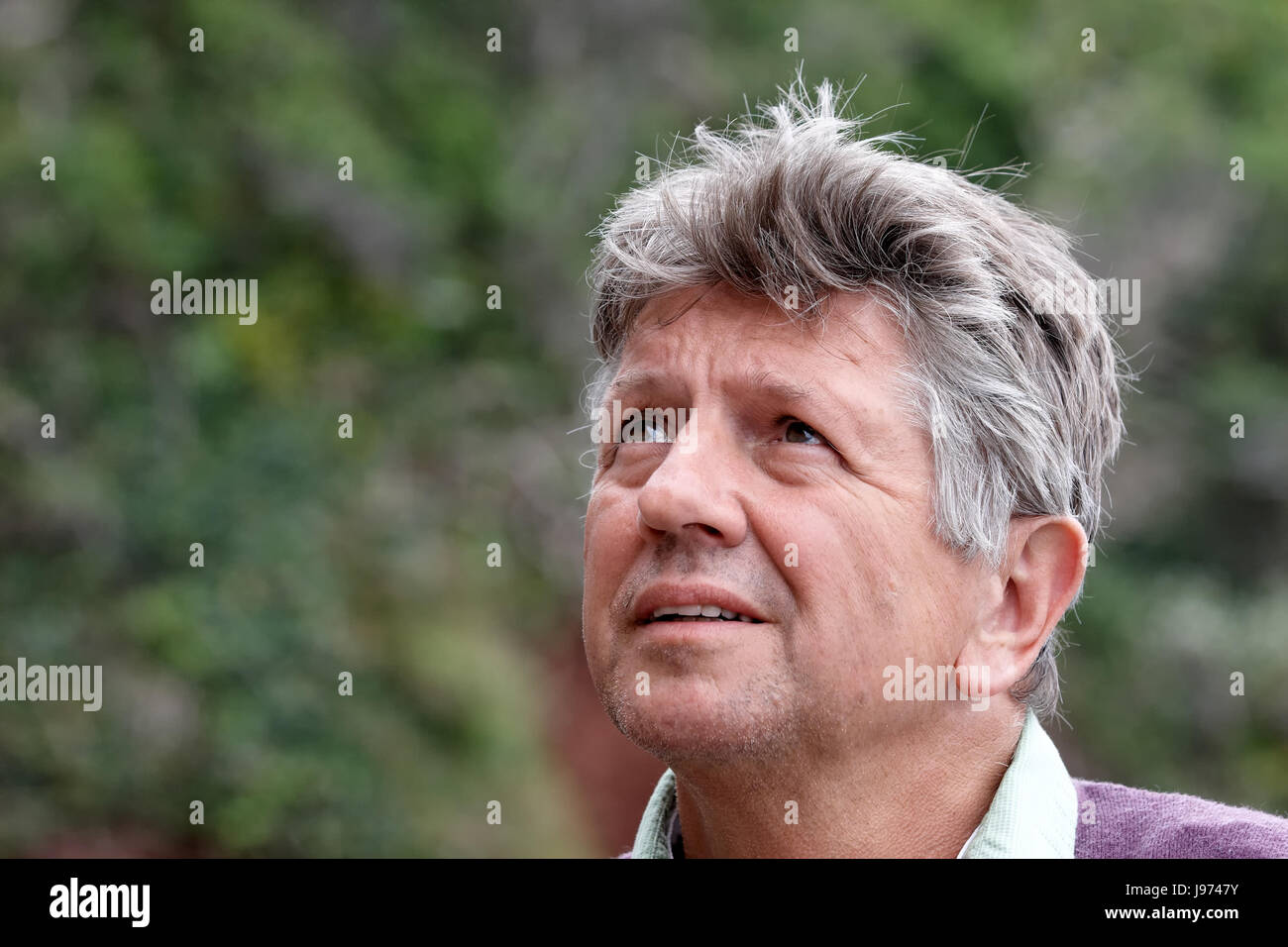 male, masculine, face, looking up, face, person, horizontal, daytime ...