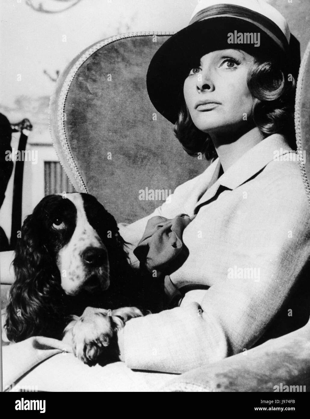 Nothing but the best / MILLICENT MARTIN with a dog in 'Nothing but the ...