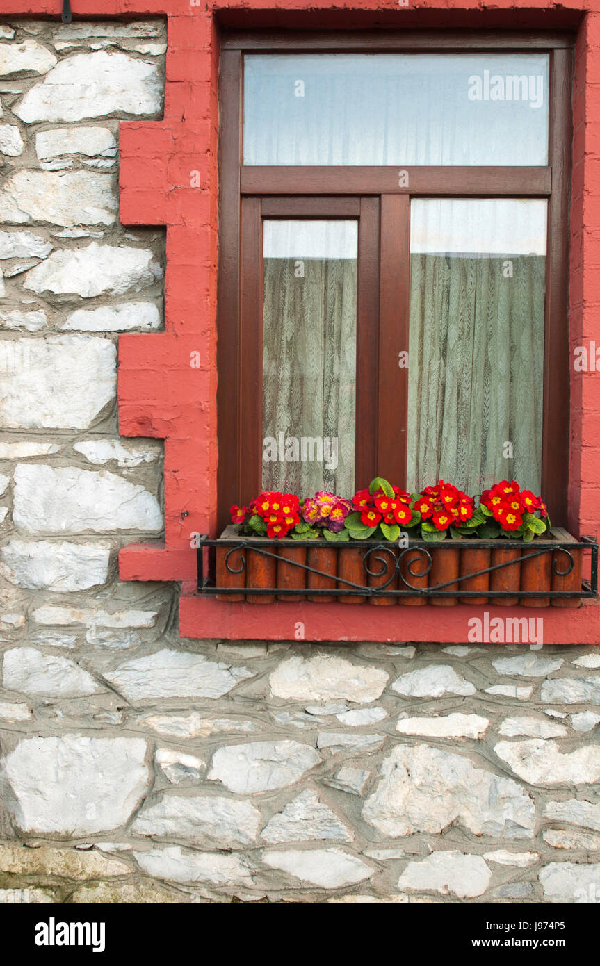 stone, window, porthole, dormer window, pane, flower, flowers, plant ...
