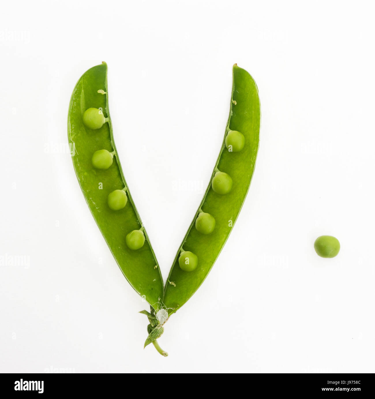 Green peas in open pod, isolated on white background. Top view Stock ...