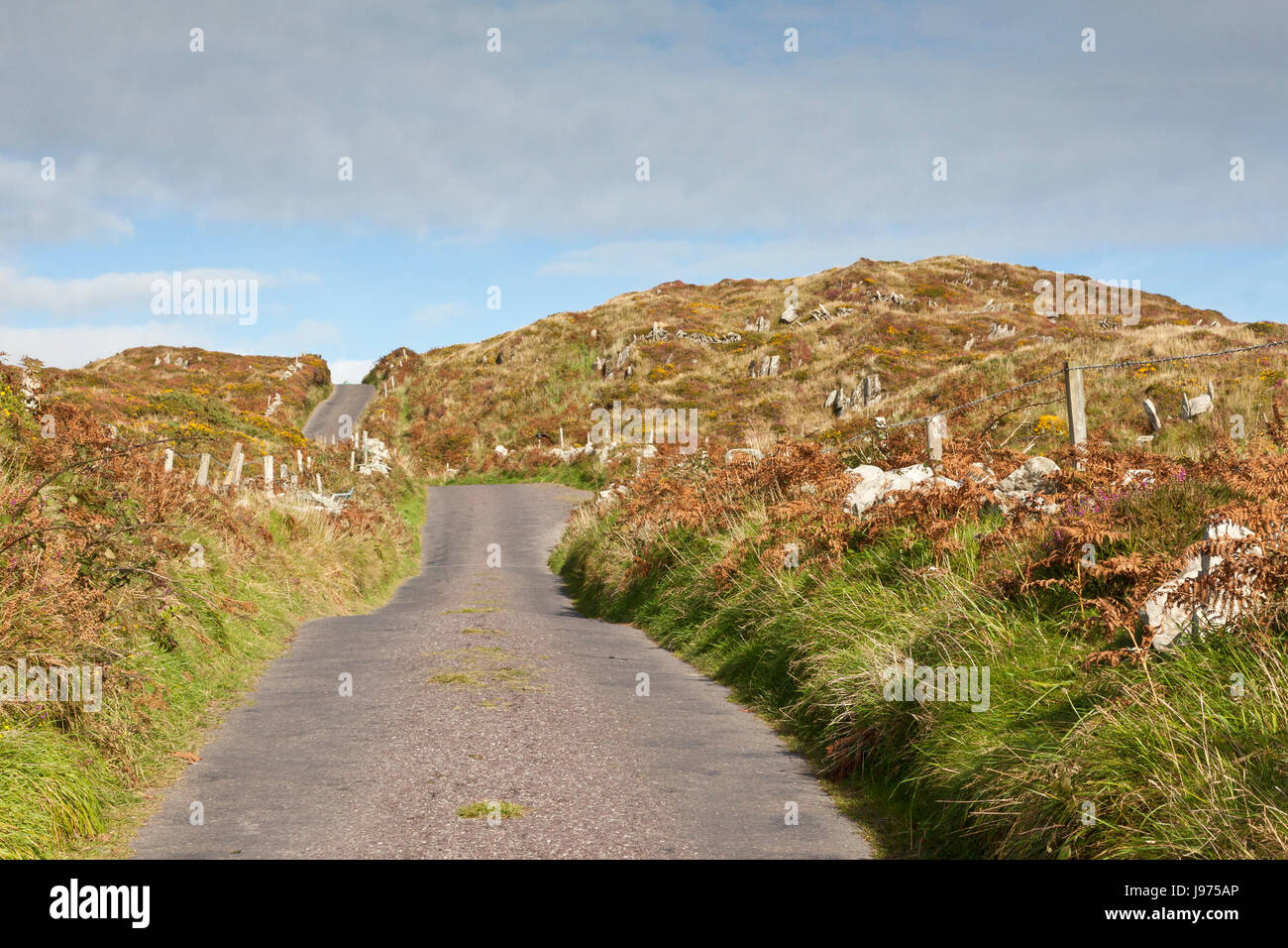 typical road in ireland Stock Photo - Alamy