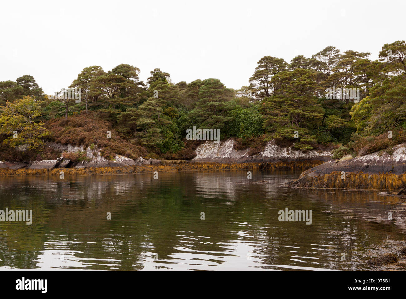 bay of bantry in ireland Stock Photo - Alamy