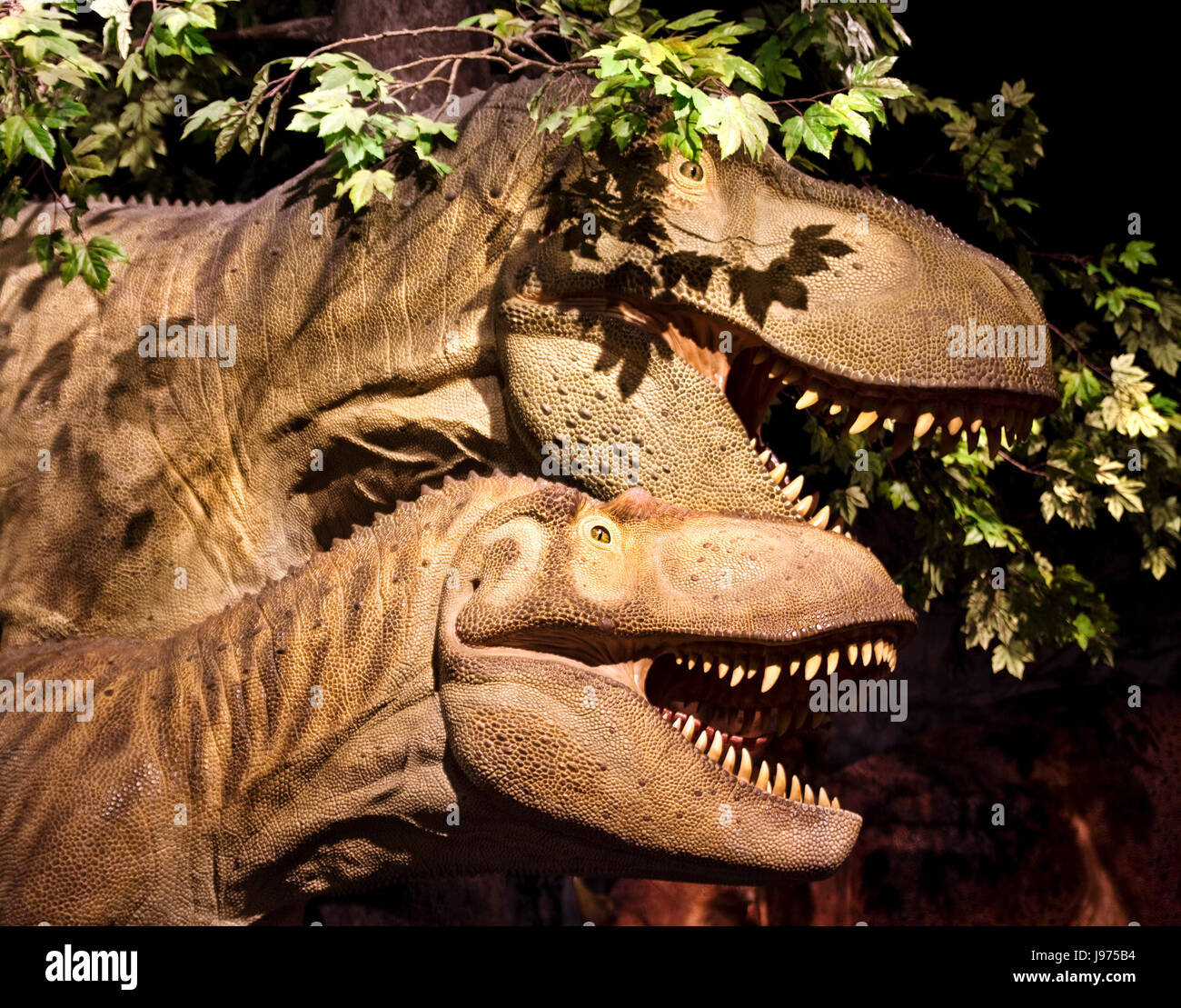 profile, danger, detail, big, large, enormous, extreme, powerful ...