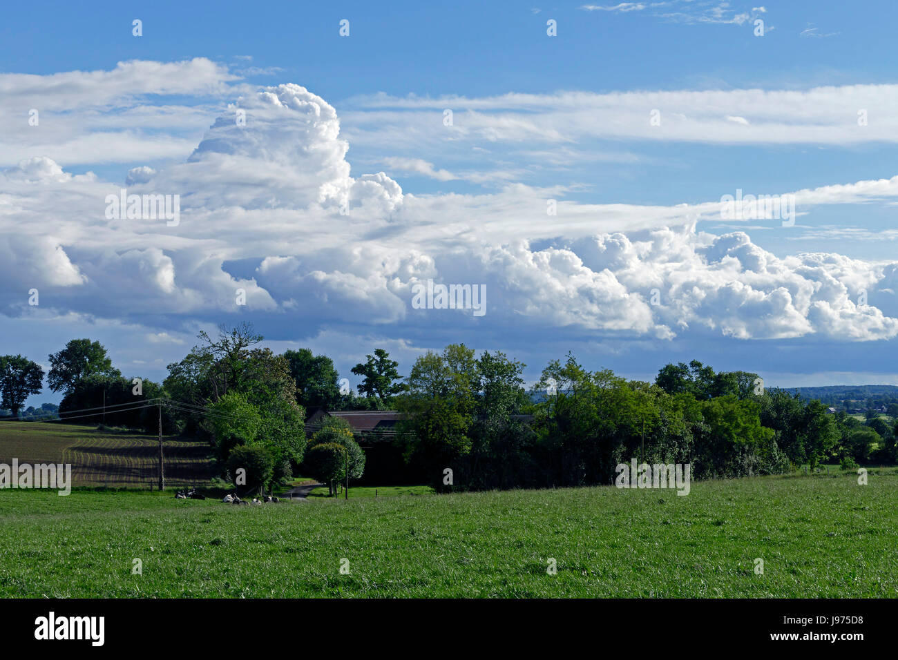 Farmland in spring (may), meadow and cultivated field (North Mayenne ...