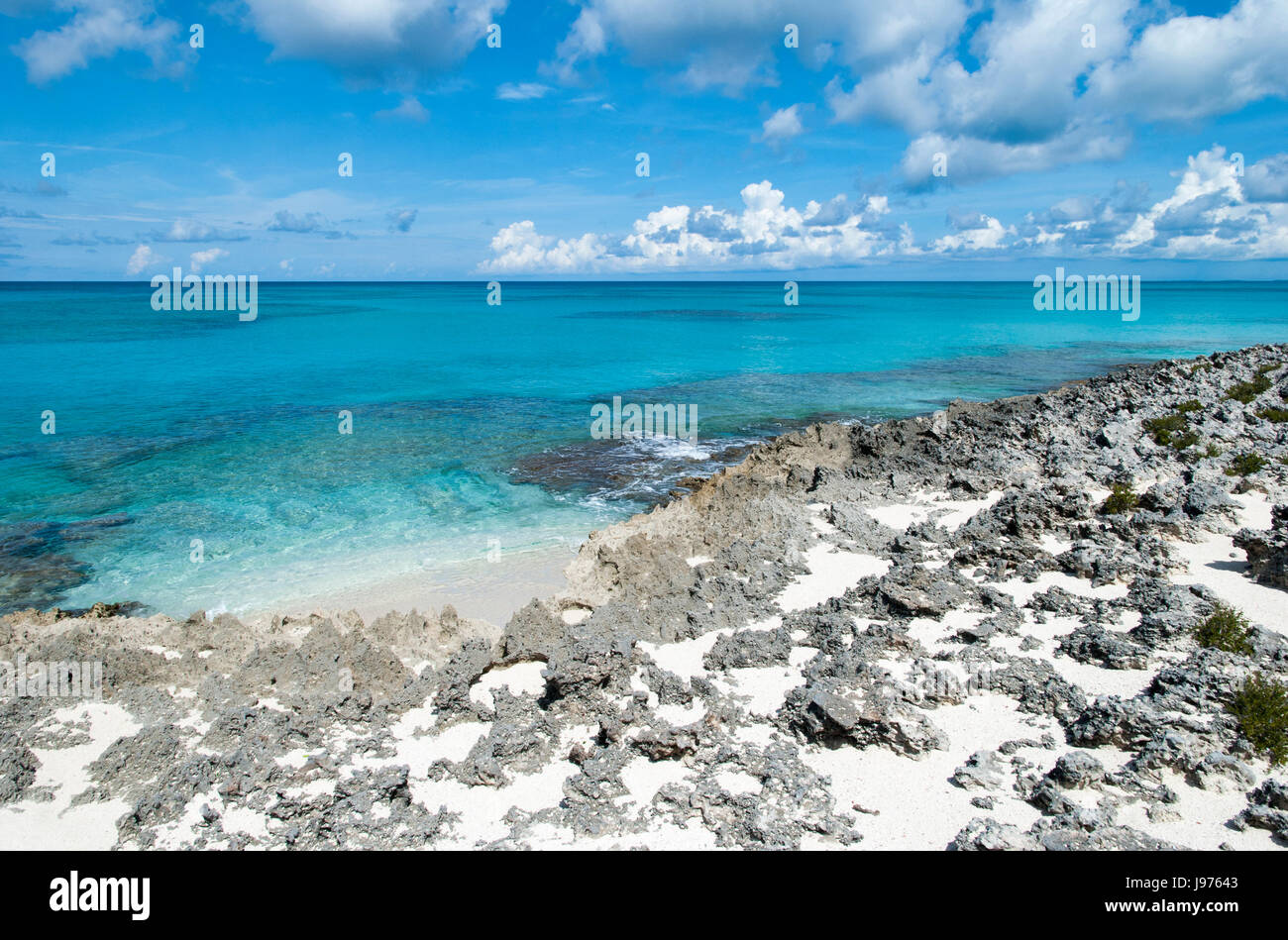 The beach with sharp rocks on uninhabited island Half Moon Cay (Bahamas ...