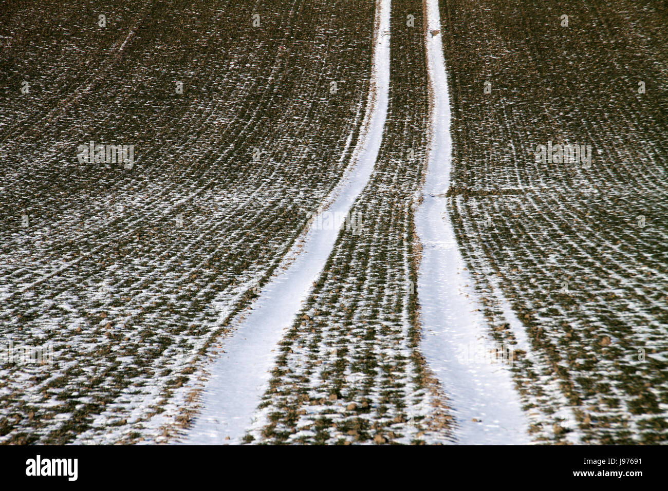 snow tracks in green field Stock Photo - Alamy