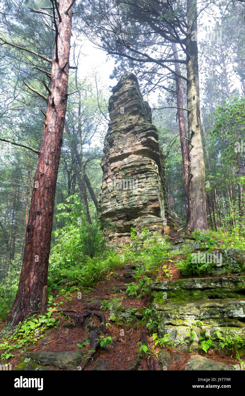 castellated mound along nature trail in castle mound pine forest state ...