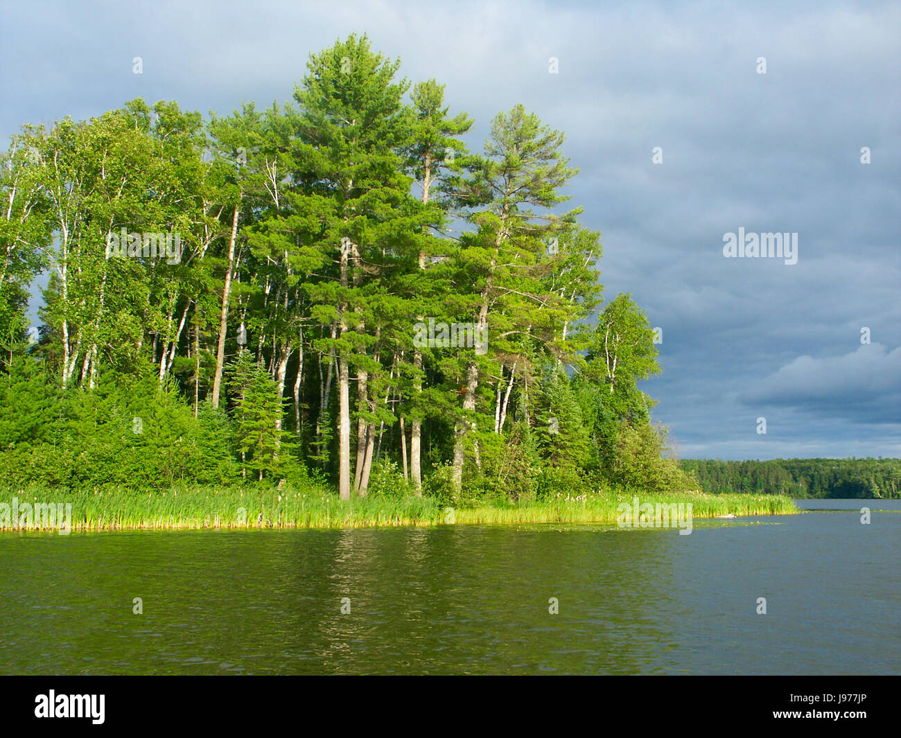 beautiful, beauteously, nice, fresh water, lake, inland water, water ...