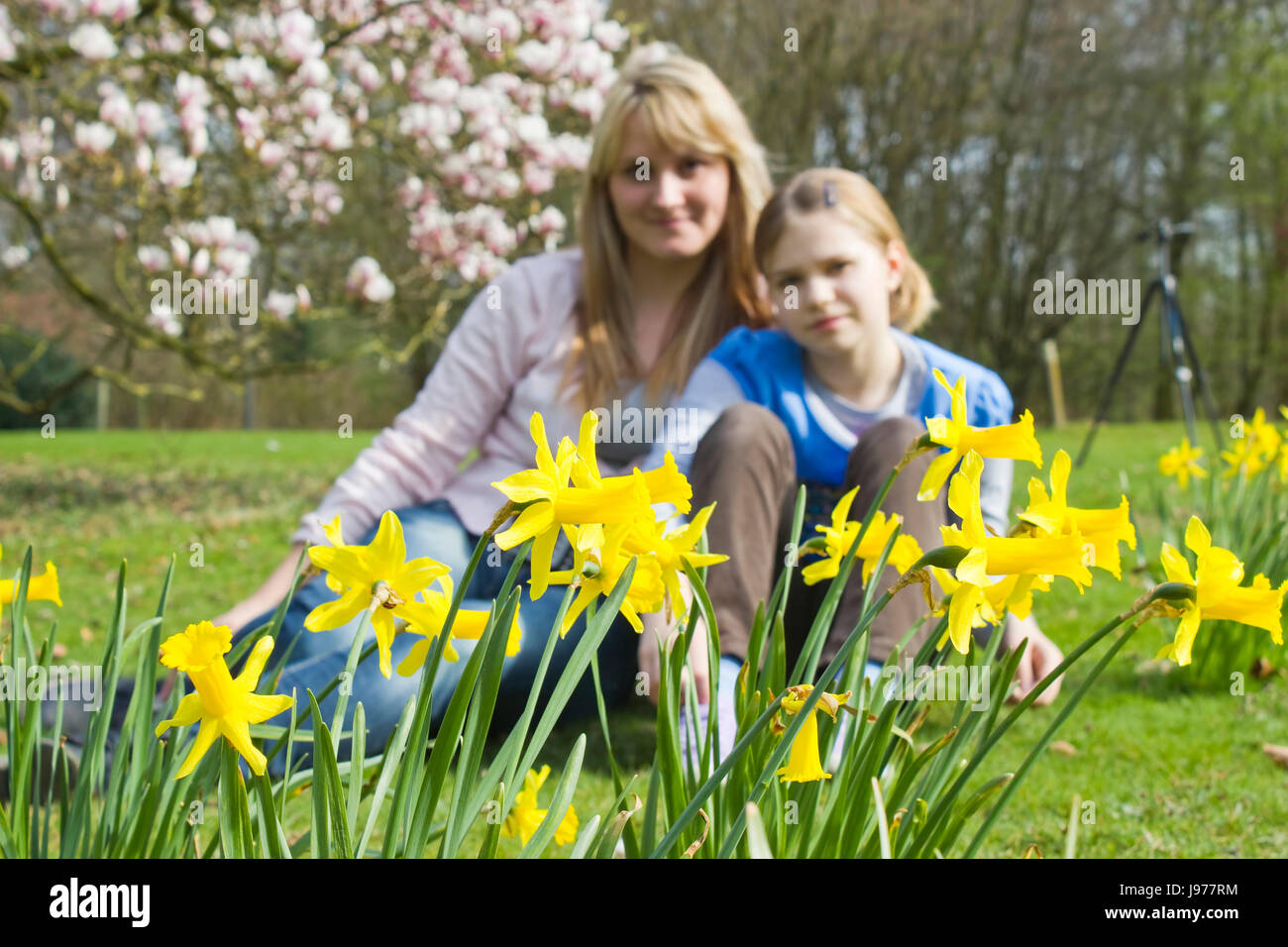 friendly, kind, woman, humans, human beings, people, folk, persons ...