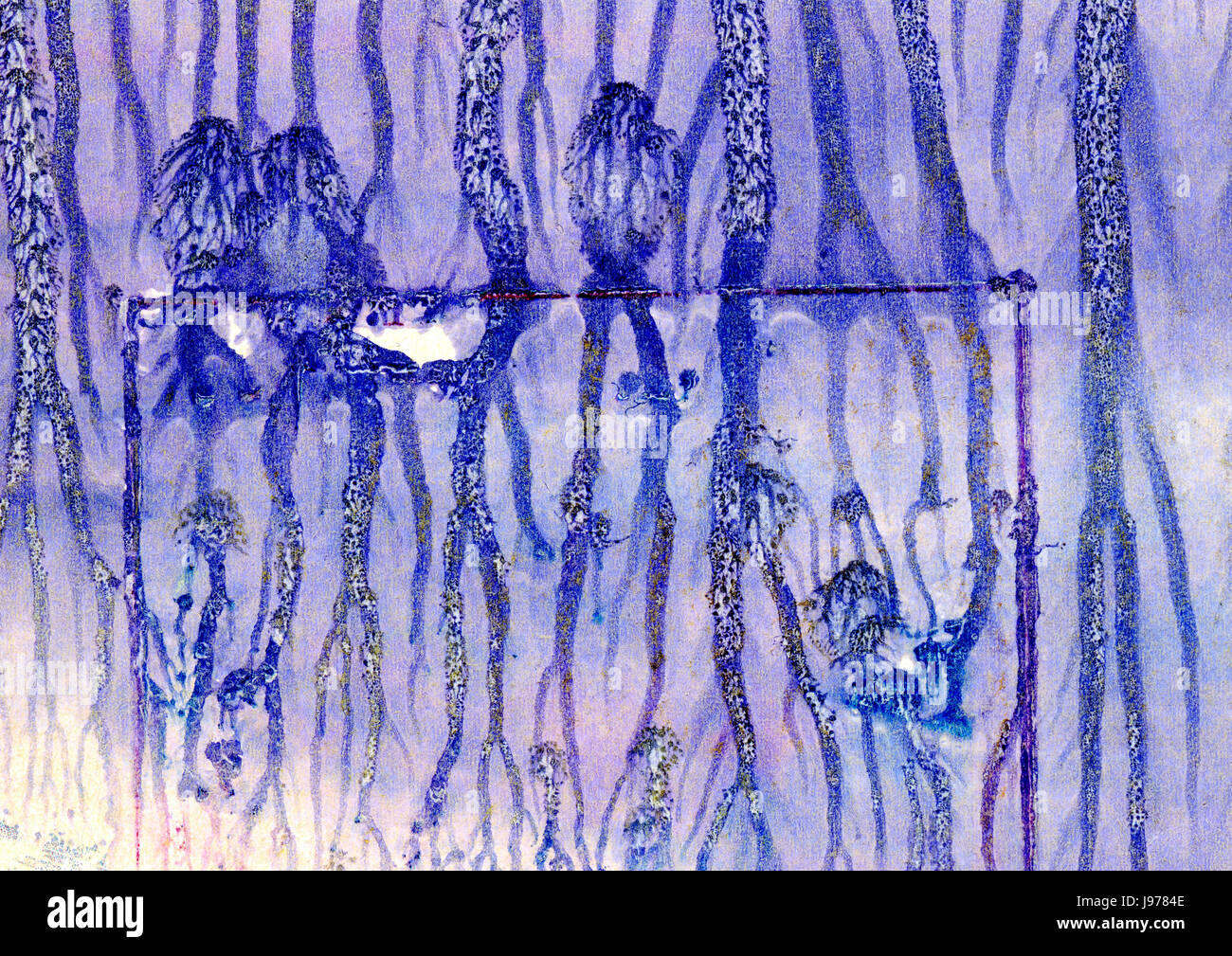 Pastel blue colour hi-res stock photography and images - Alamy