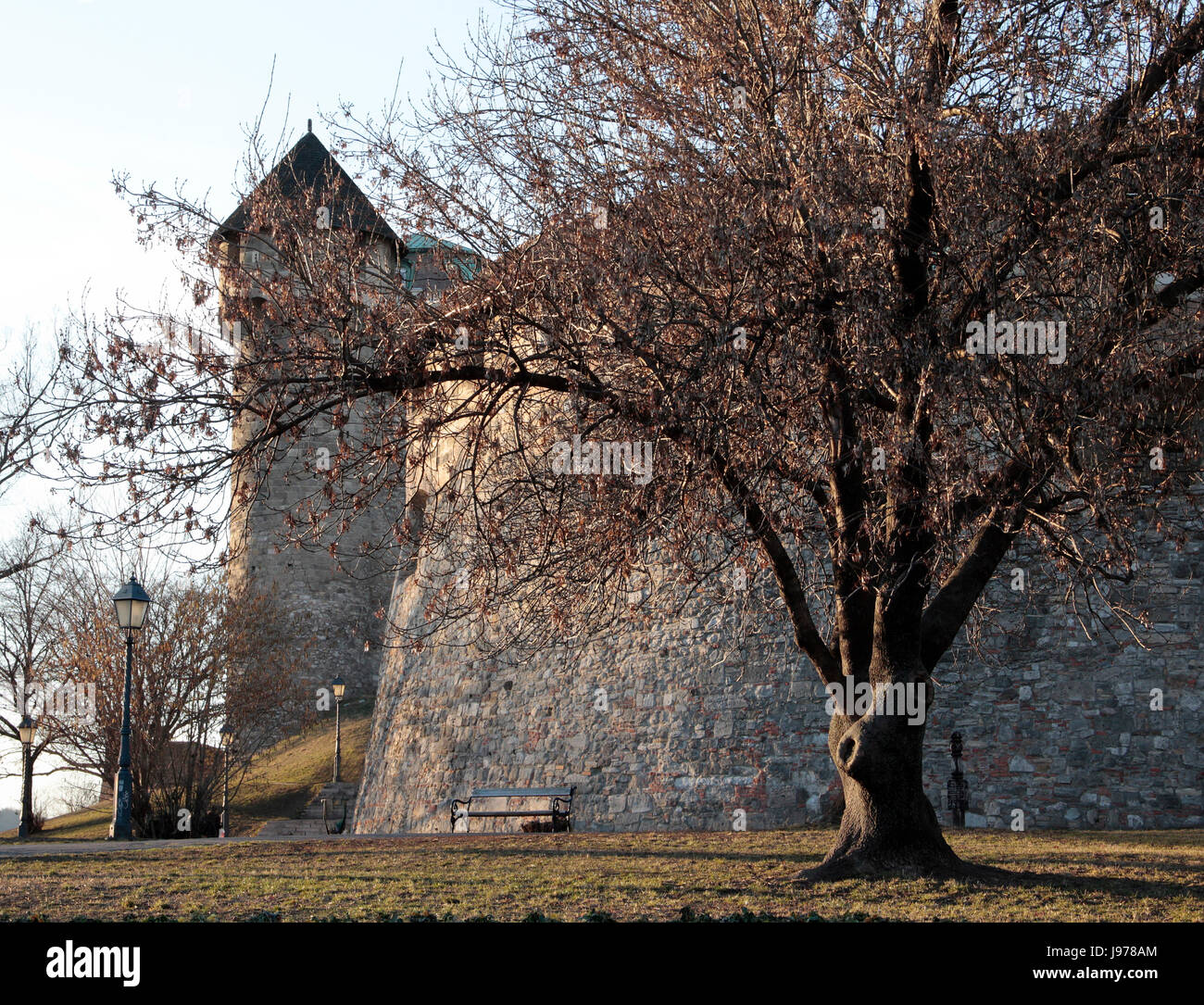 travel, city, town, monument, tree, holiday, vacation, holidays ...