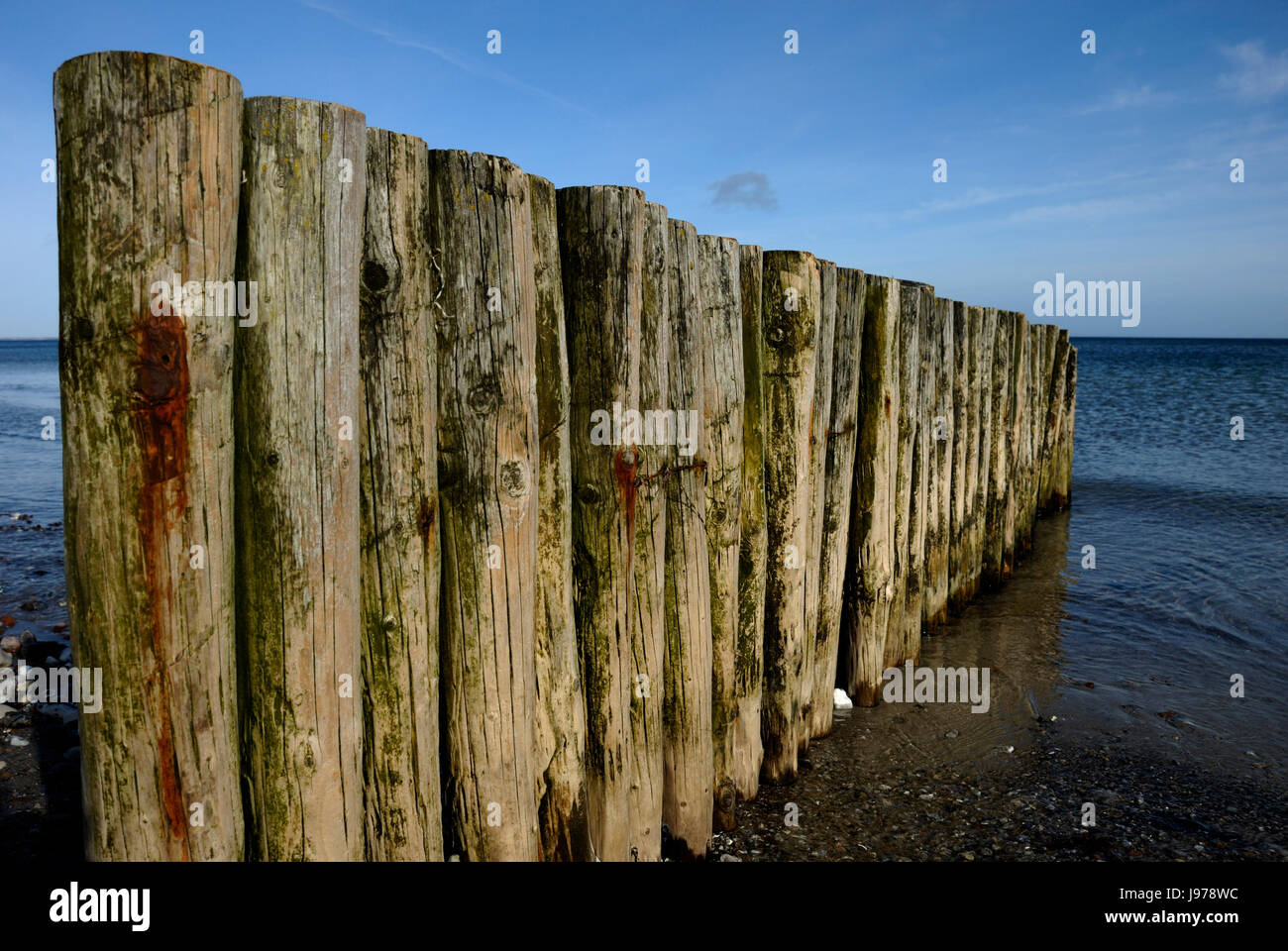 wooden poles on the beach at falshft Stock Photo - Alamy