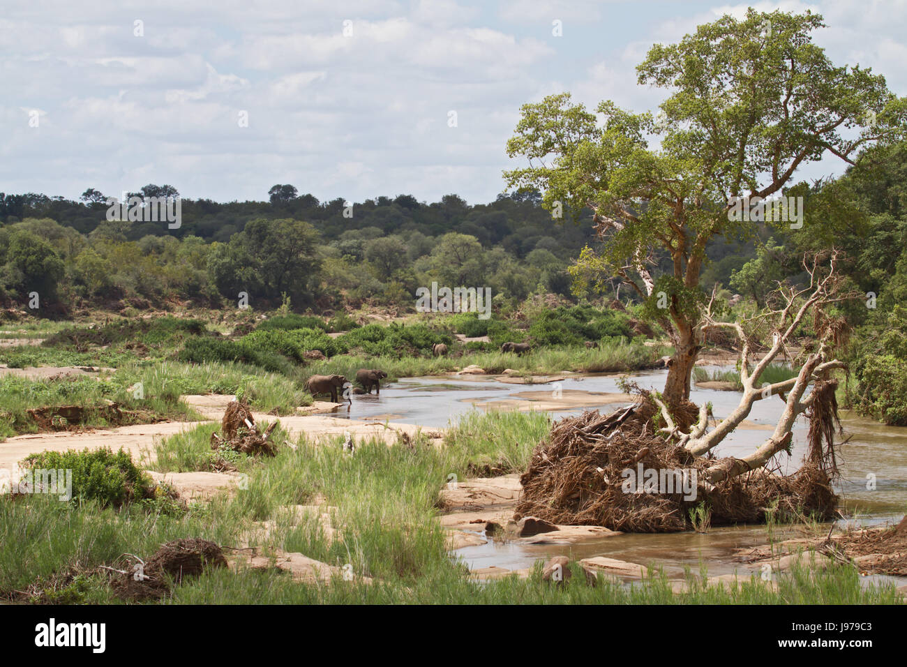Riverscape hi-res stock photography and images - Alamy