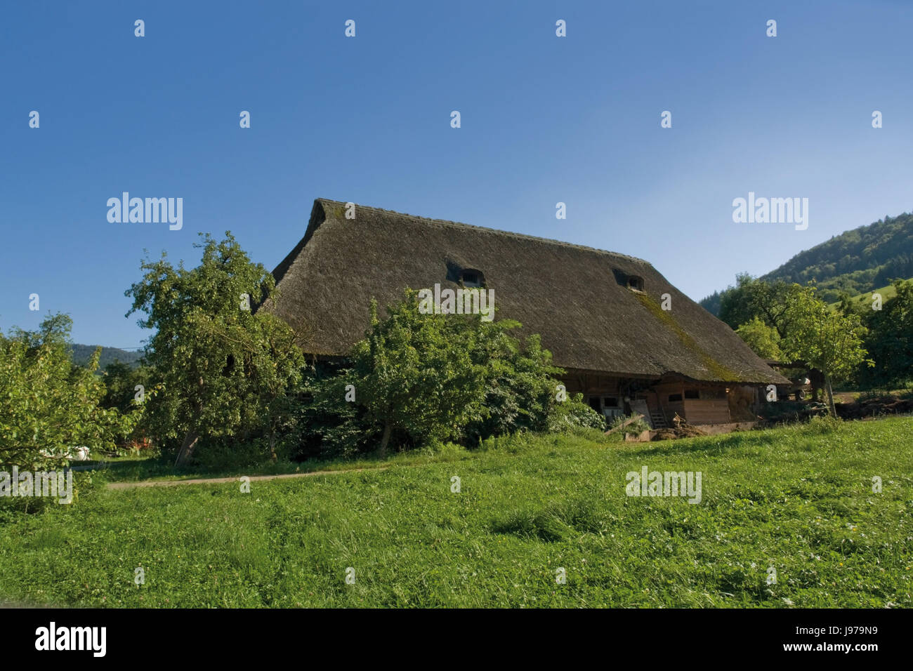 Black forest thatched roof hi-res stock photography and images - Alamy