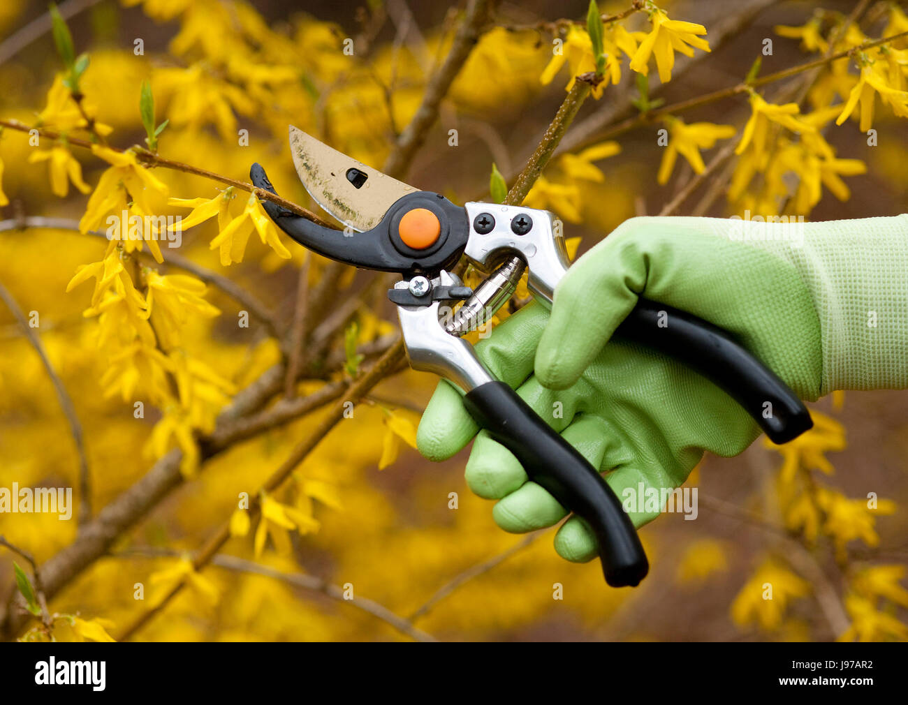 Trimmers jumping hi-res stock photography and images - Alamy