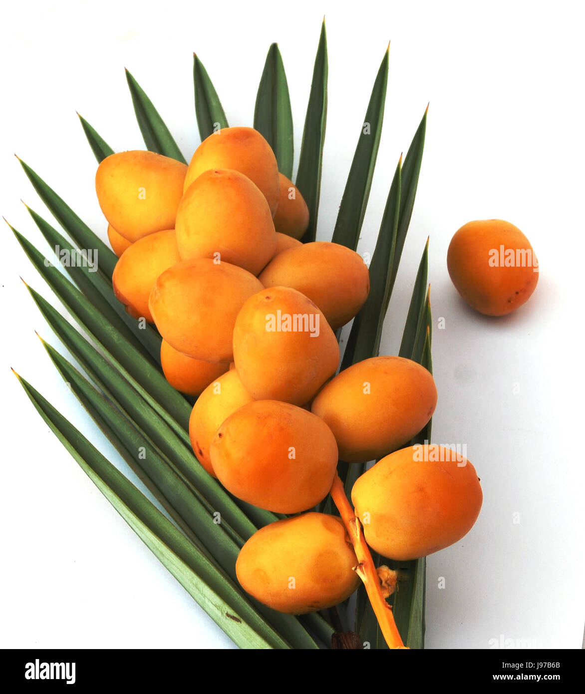 Date bunch hi-res stock photography and images - Alamy