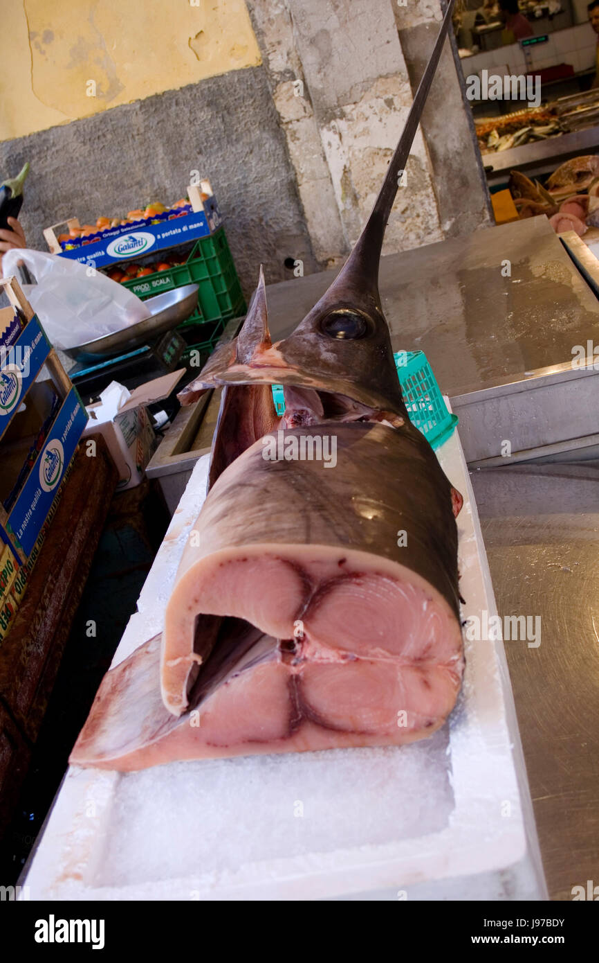 angle, fish, seafood, swordfish, fresh, restaurant, food, aliment ...